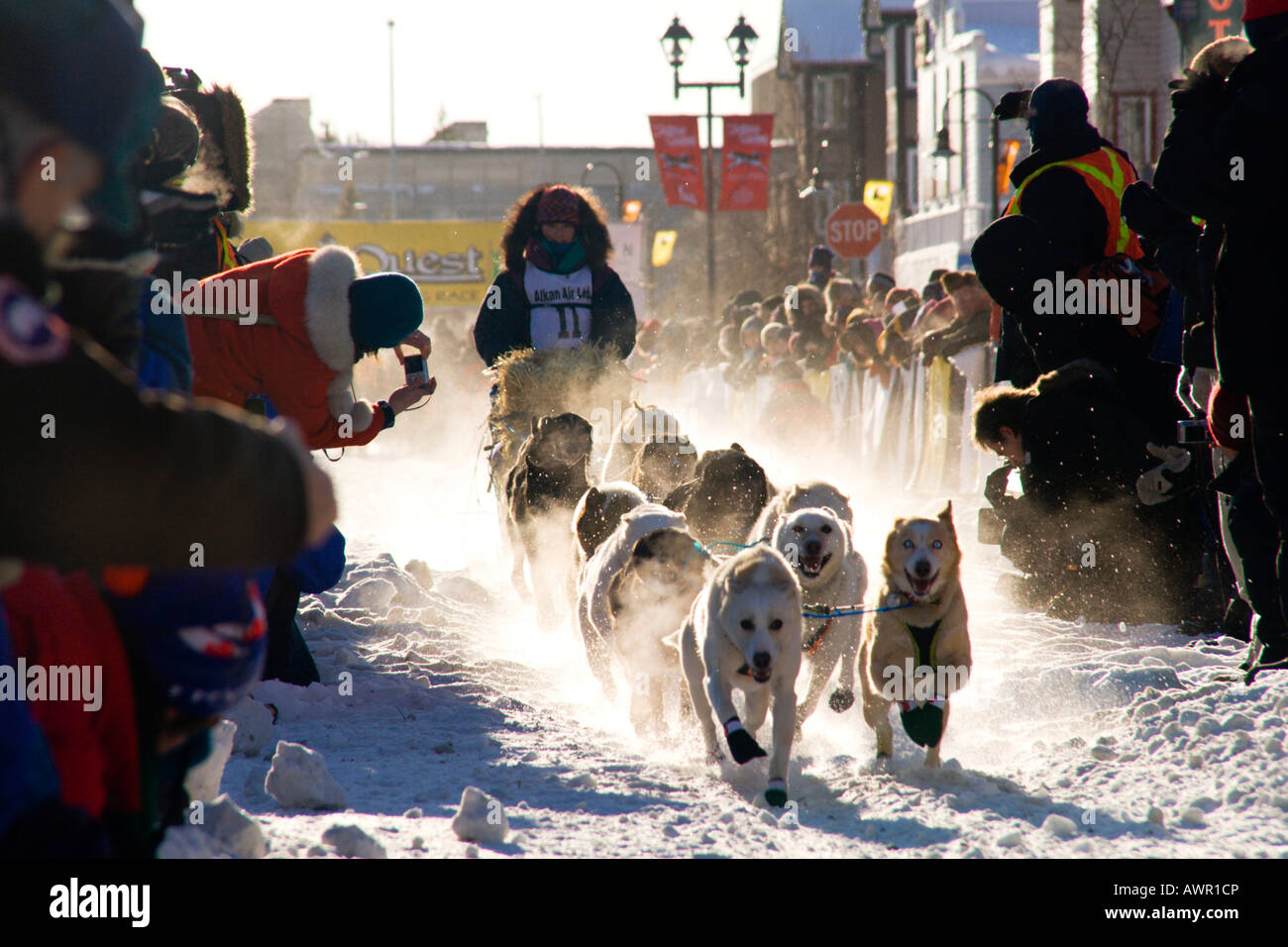 Yukon quest sled dog race hi-res stock photography and images - Alamy