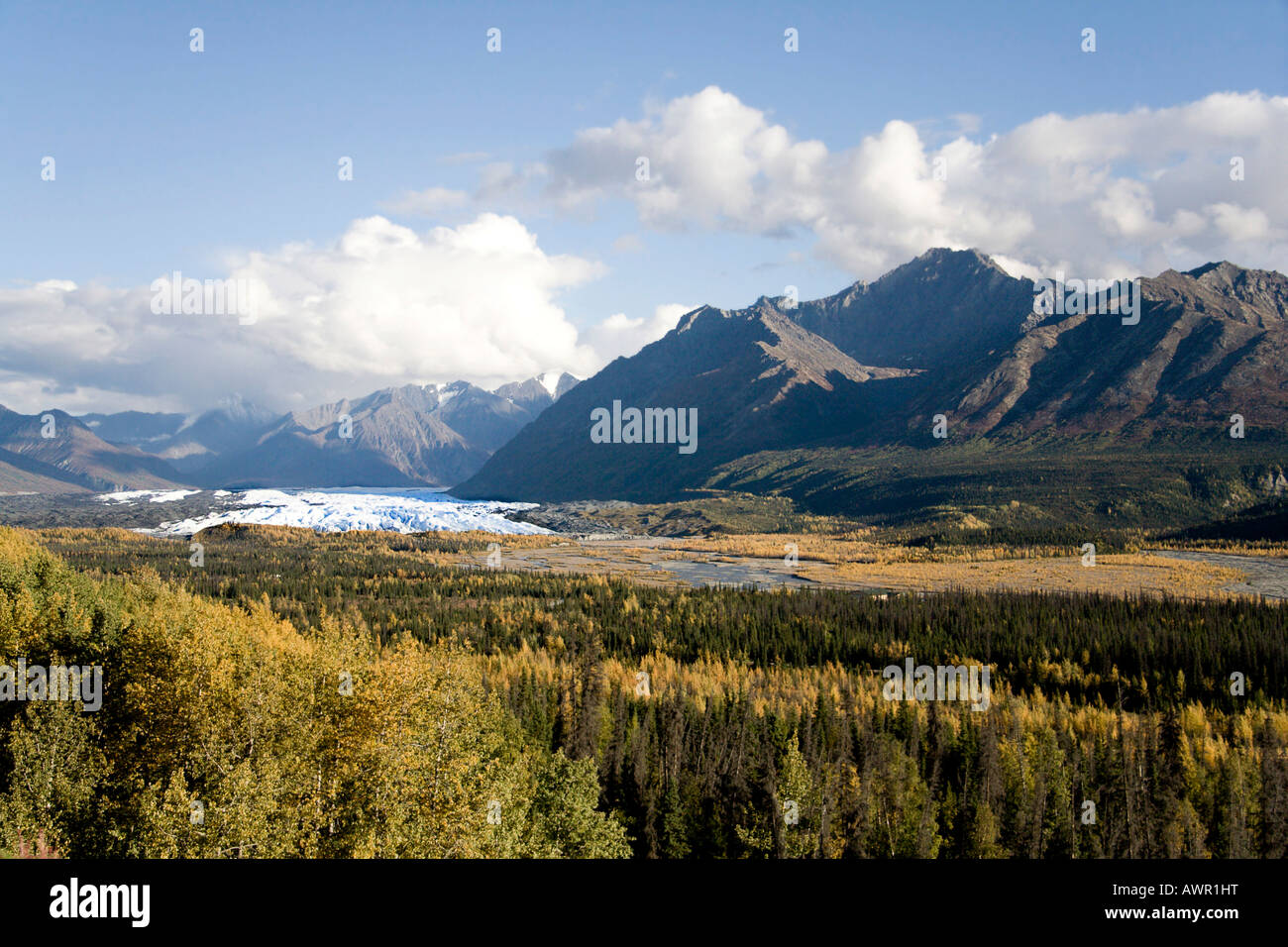 Matanuska Glacier, autumn forest, Chugach Mountains, Alaska, USA Stock ...