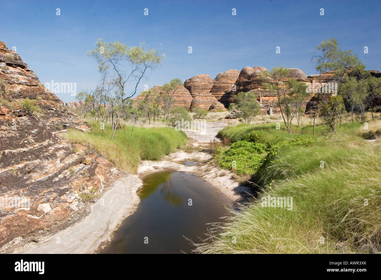 Watering hole, Cathedral Gorge, hiking track, Bungle Bungle, Purnululu ...