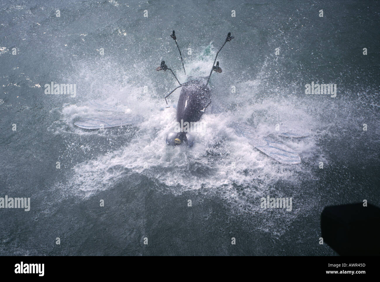 Regis birdman flight competition human powered machine south coast ...