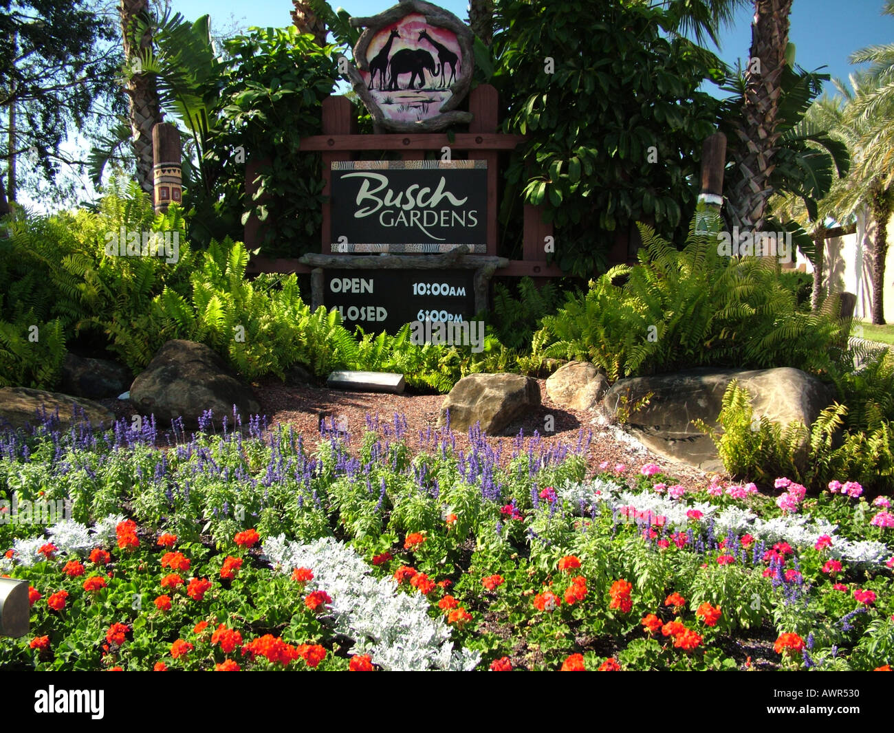 Busch gardens tampa bay hi-res stock photography and images - Alamy