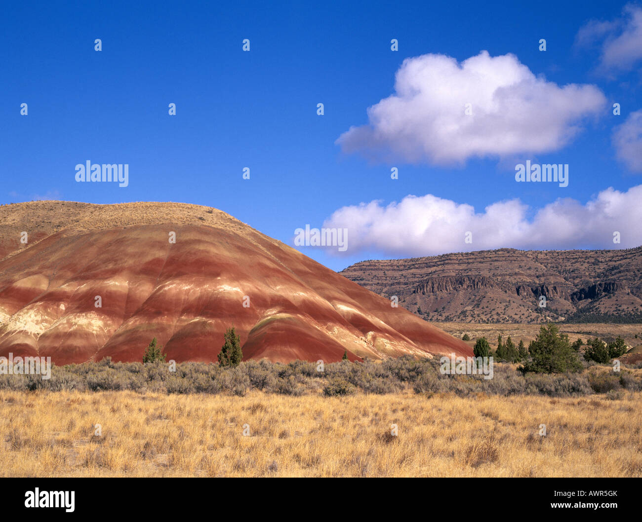 John day fossil bed national monument hi-res stock photography and ...