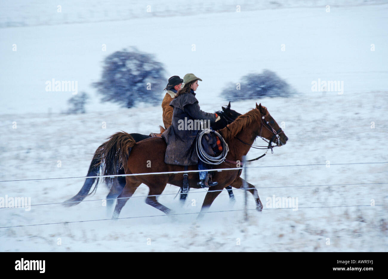 Photos of cowgirls hi-res stock photography and images - Alamy