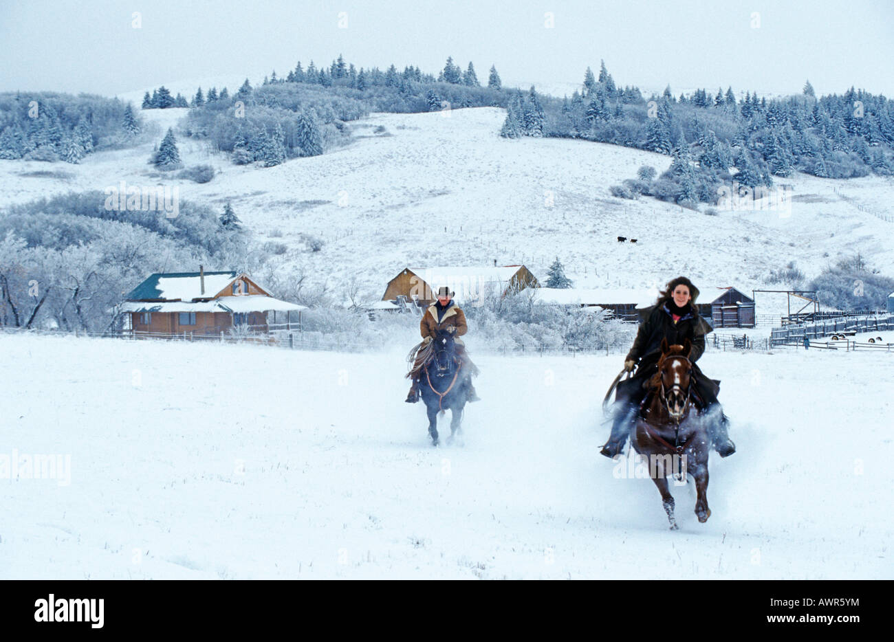 Photos of cowgirls hi-res stock photography and images - Alamy
