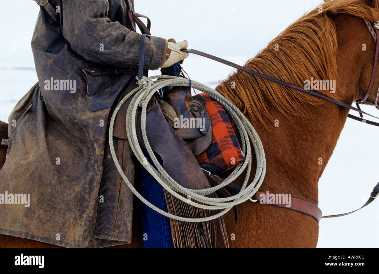 Lasso saddle hi-res stock photography and images - Alamy
