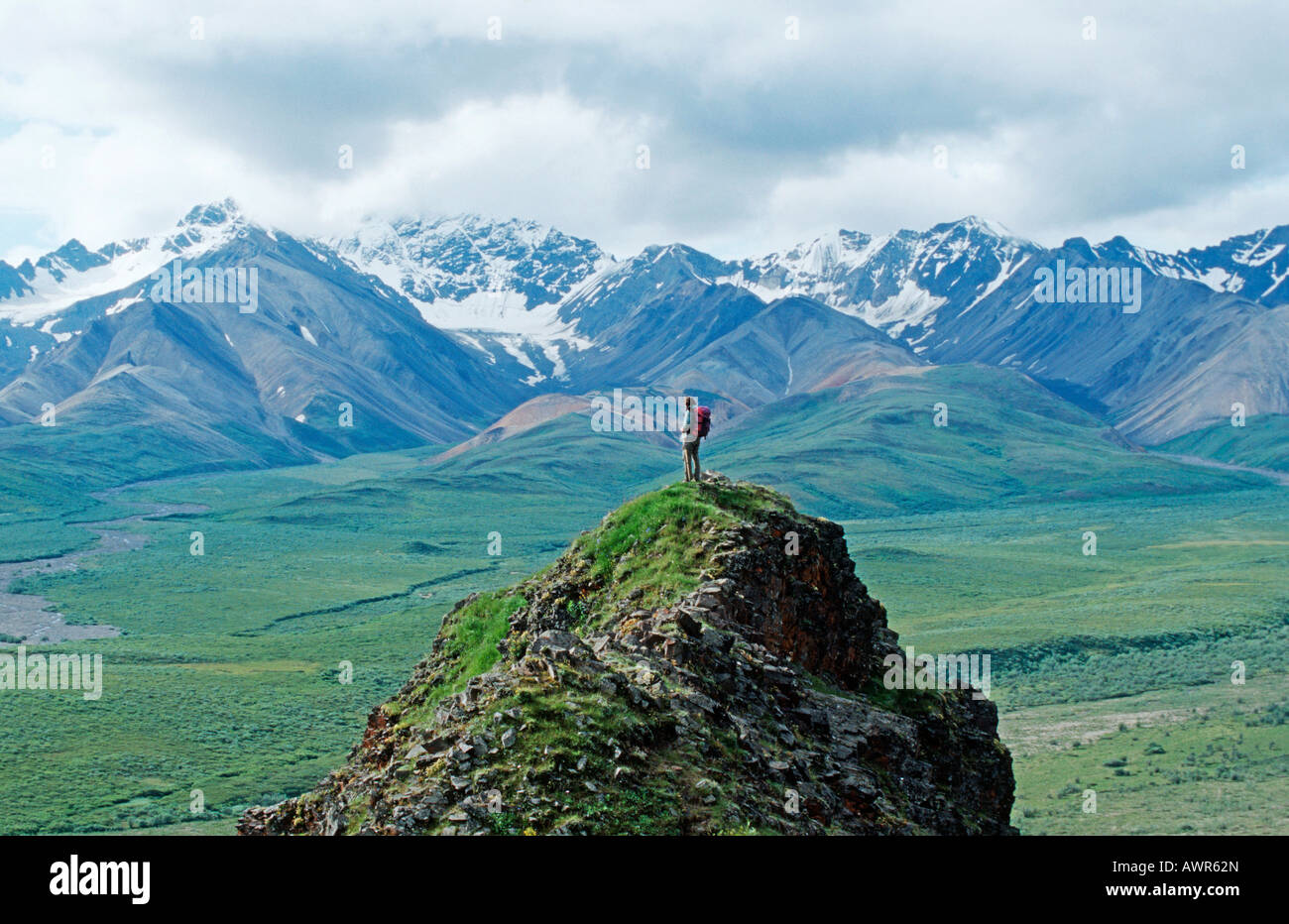 Hiker standing in front of the Alaska Range in Denali National Park ...