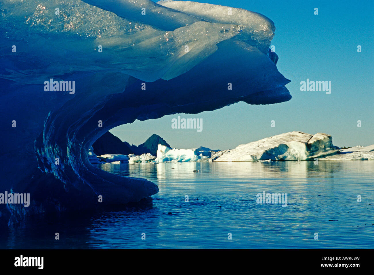 Iceberg, Kenai Fjords National Park, Alaska, USA Stock Photo - Alamy