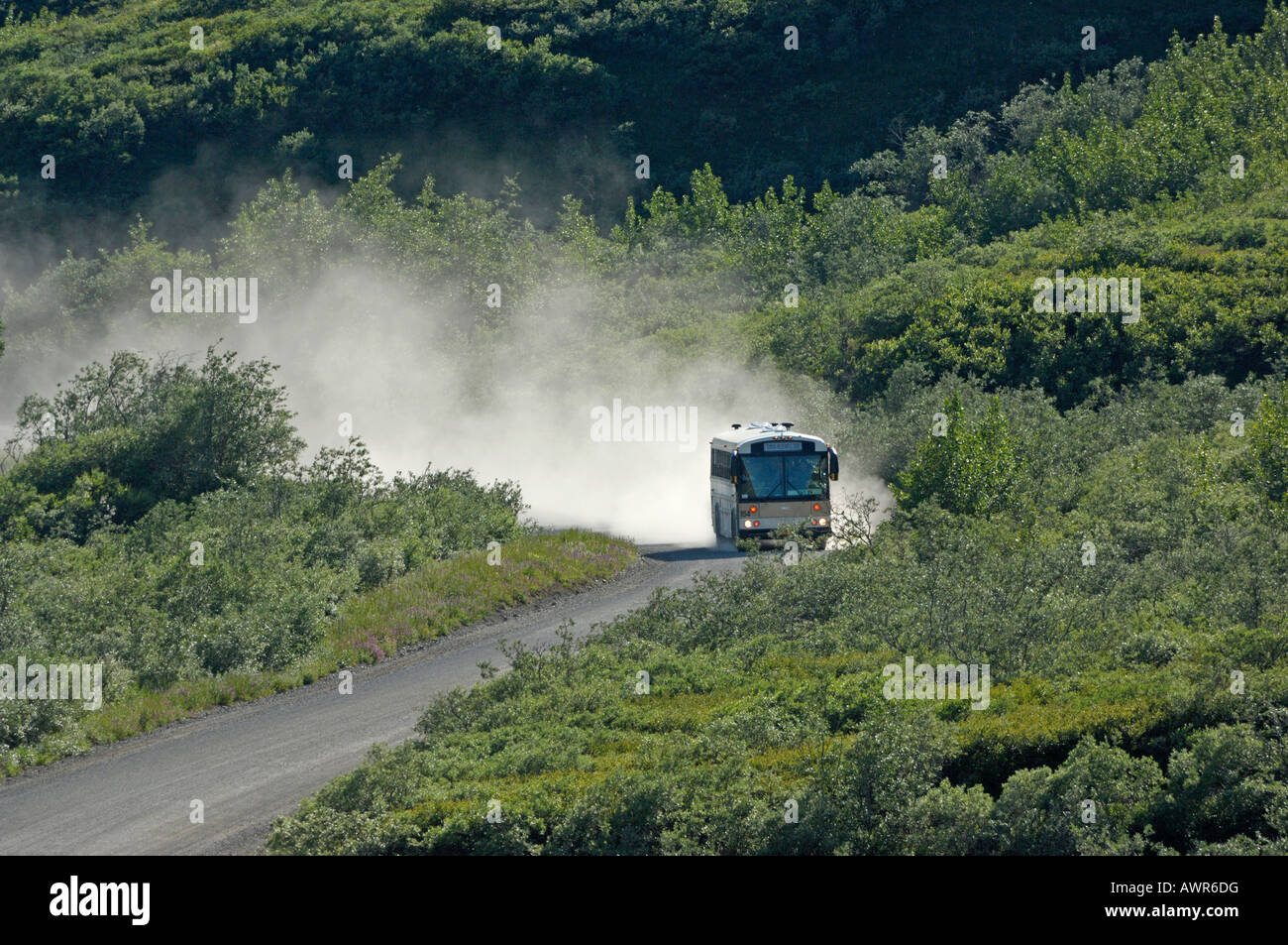 Shuttle bus, Denali National Park, Alaska, USA Stock Photo - Alamy