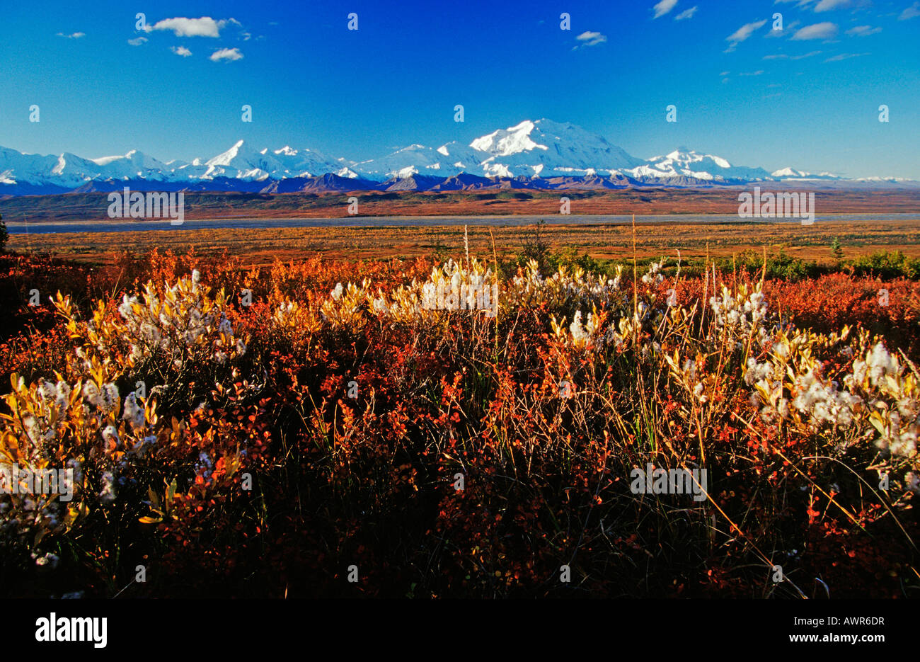 Mt. McKinley and the Alaska Range, colourful autumn tundra, Denali ...