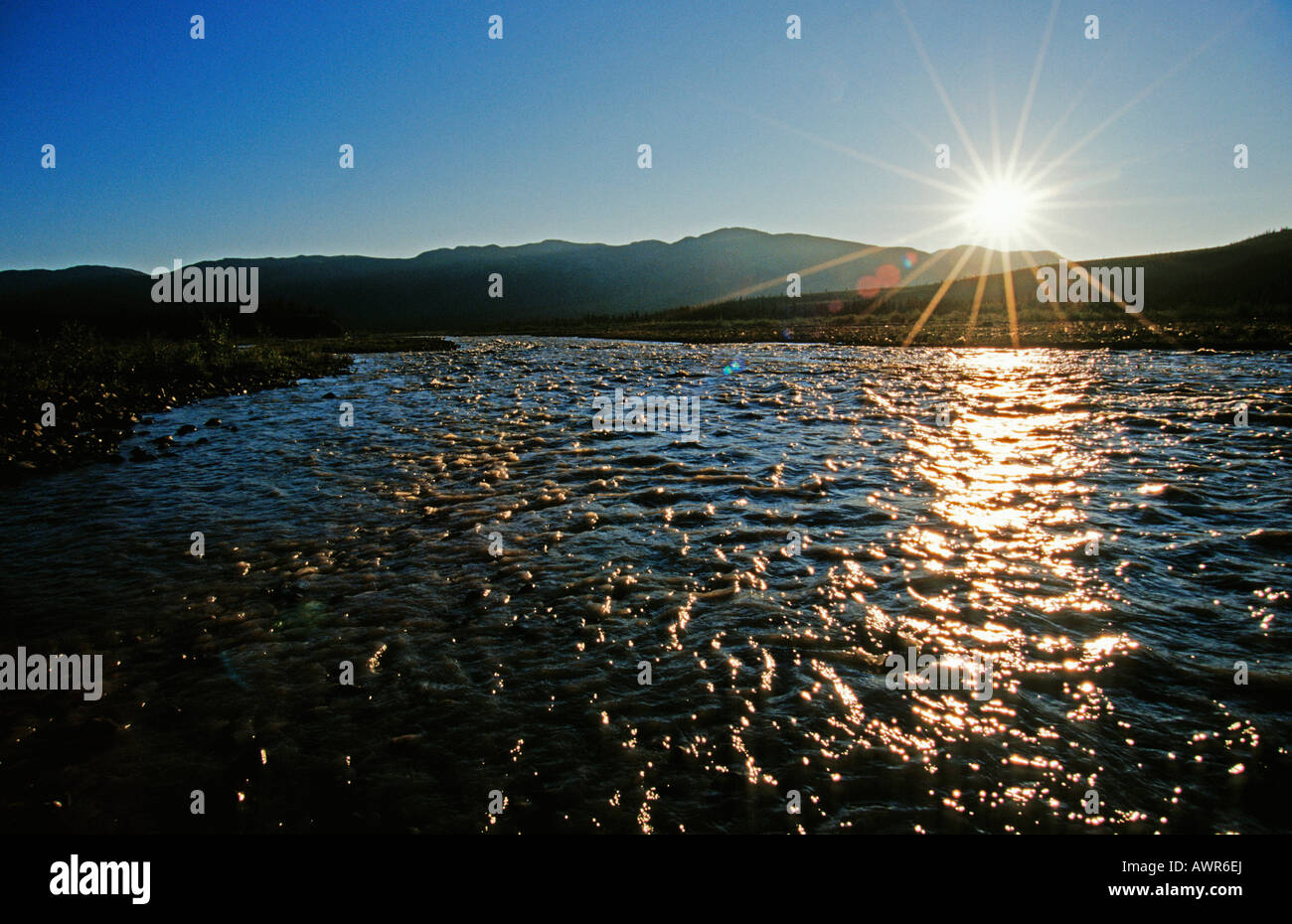 The far-branching Teklanika River flowing from the mountains of the ...