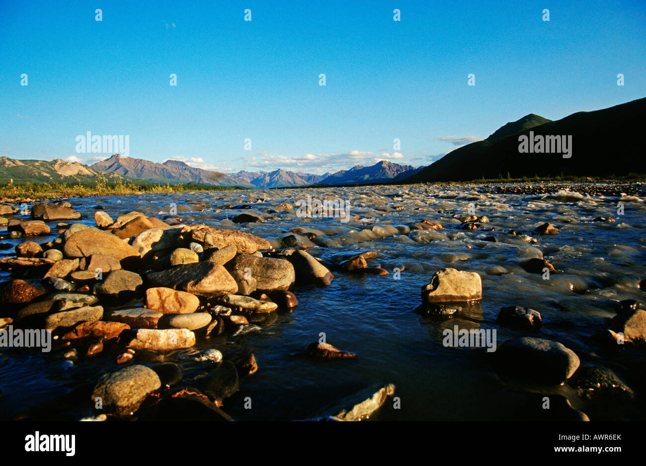 The far-branching Teklanika River flowing from the mountains of the ...