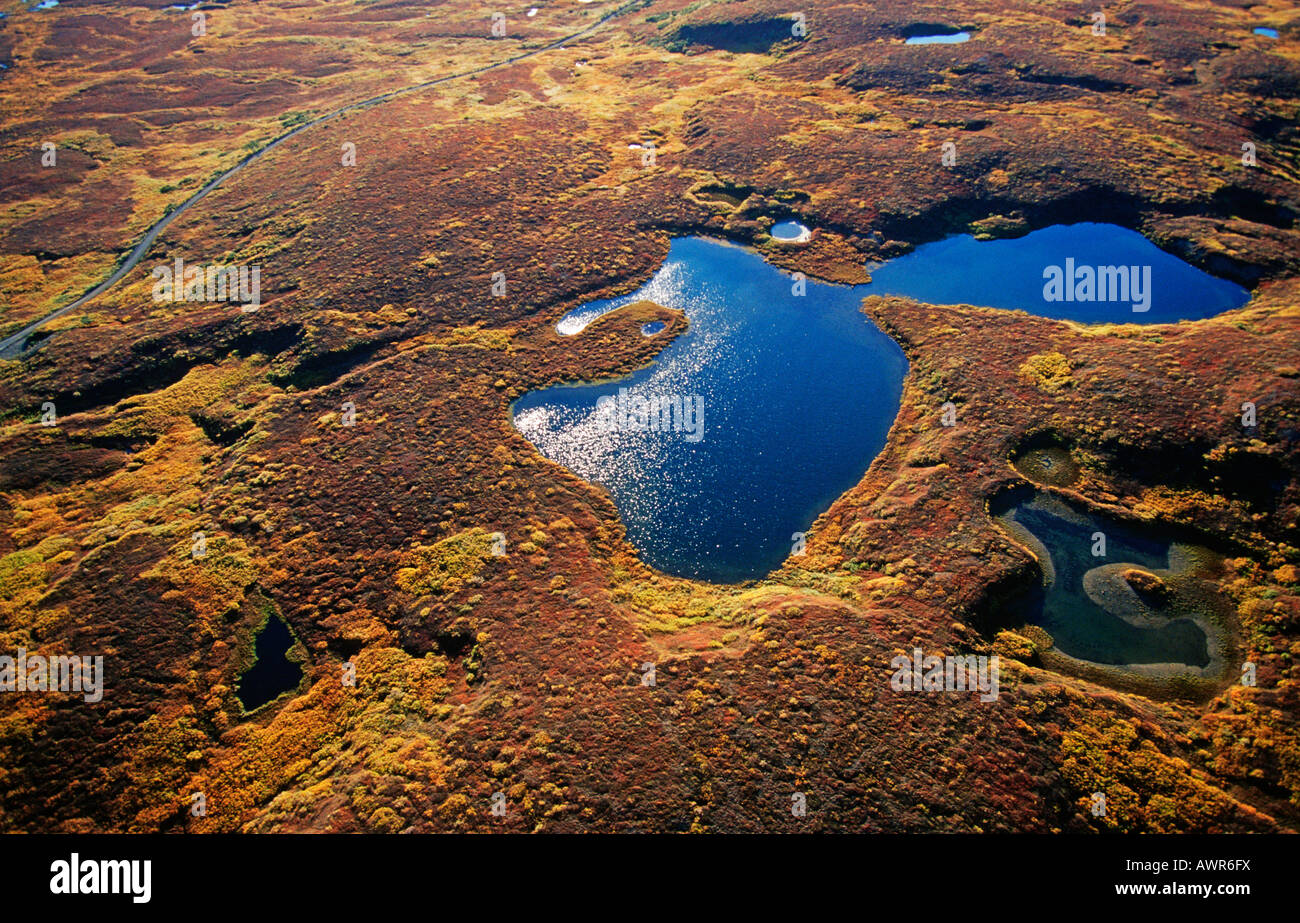 Beaver tarn in fall-coloured tundra, Denali National Park, Alaska, USA ...