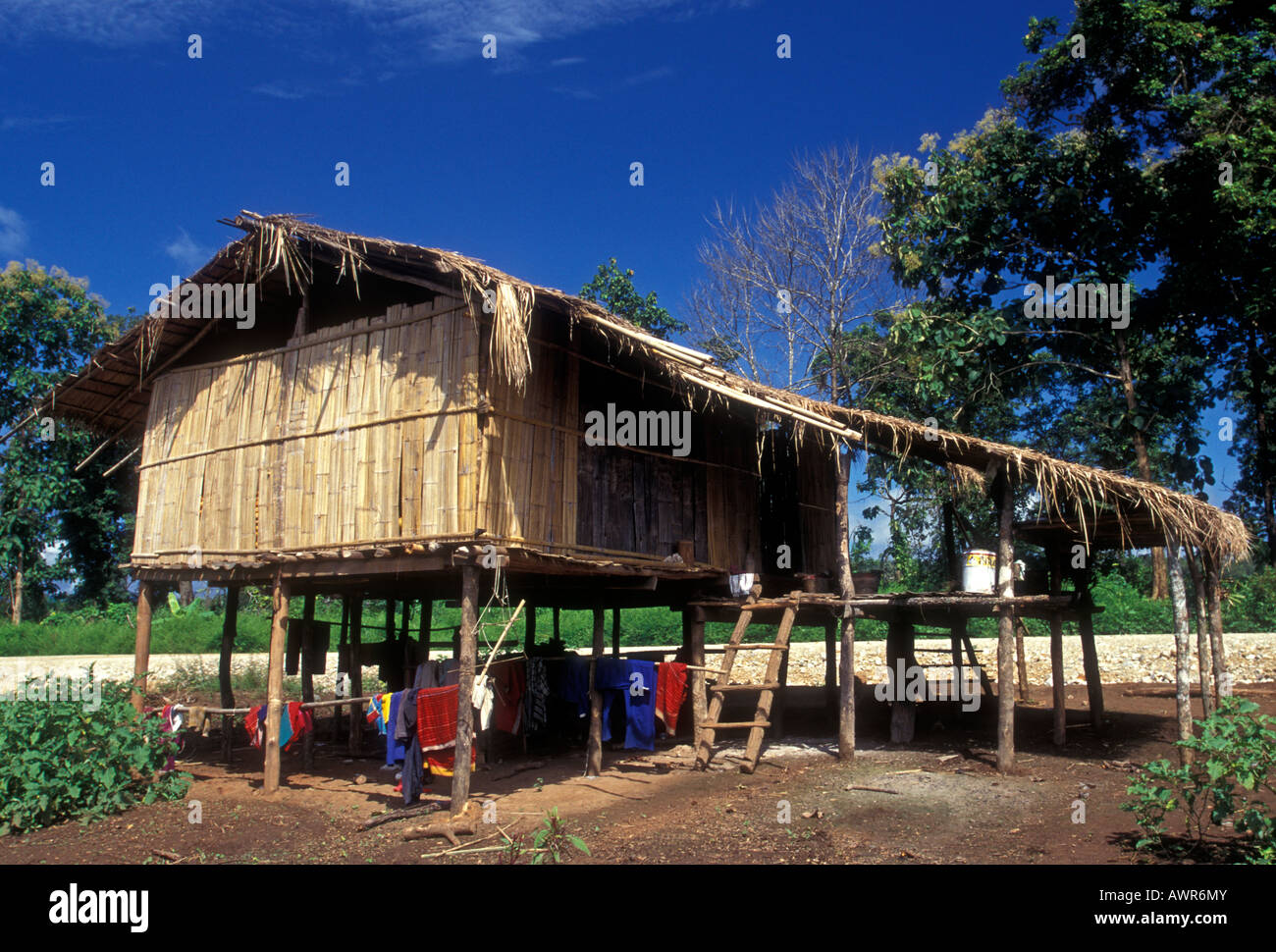 Chinese Bamboo House