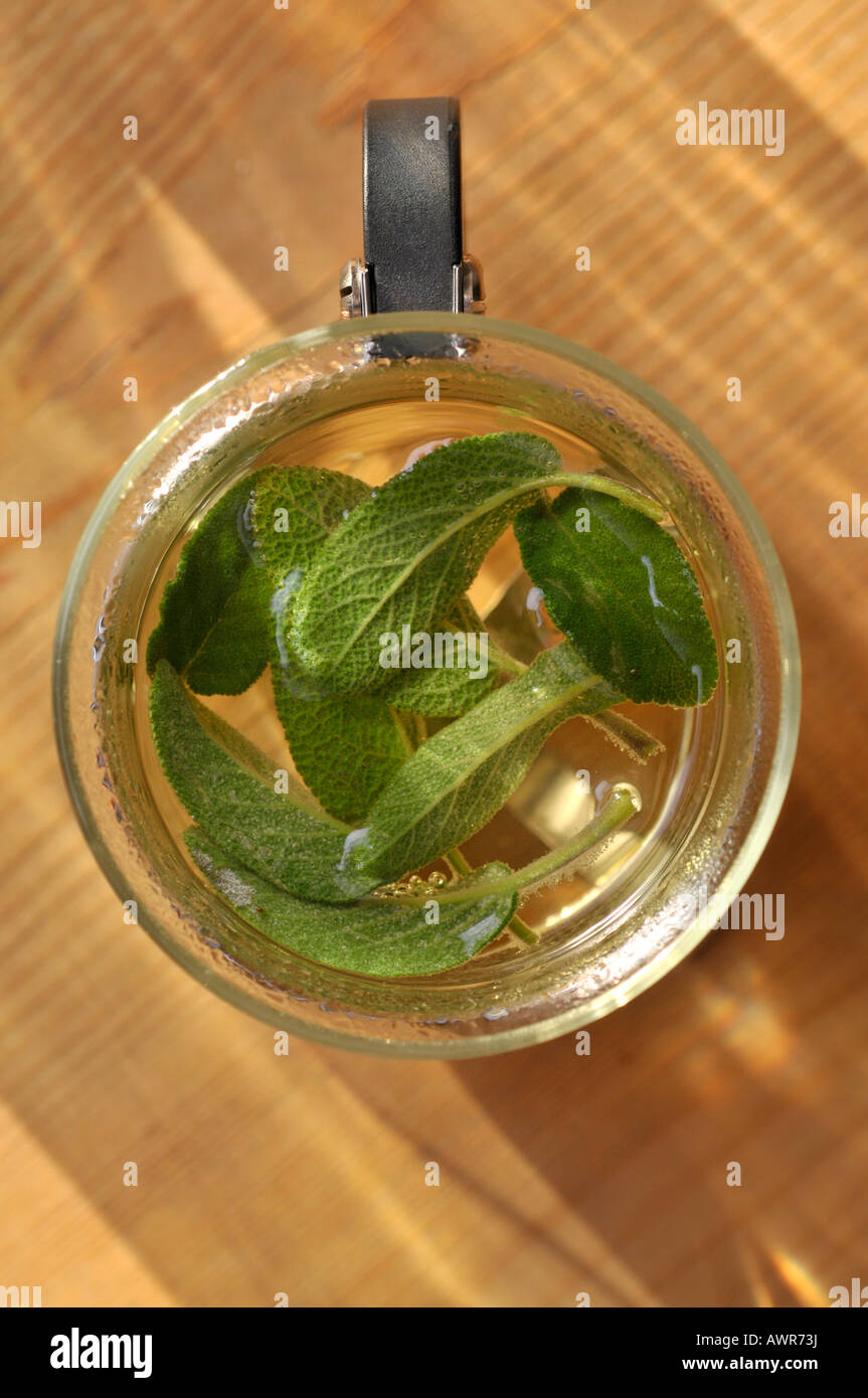 Salbei tea hi-res stock photography and images - Alamy