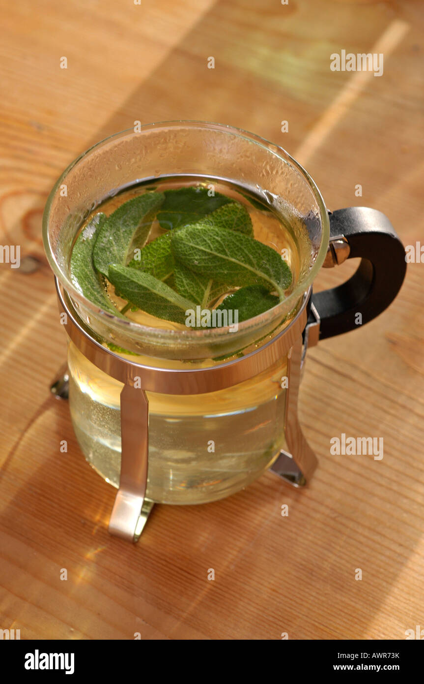 Salbei tea hi-res stock photography and images - Alamy