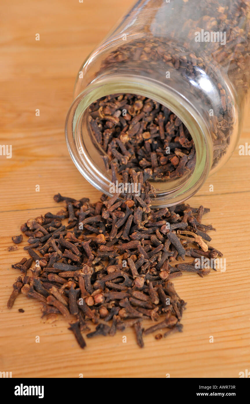 Cloves (Syzygium aromaticum Stock Photo - Alamy
