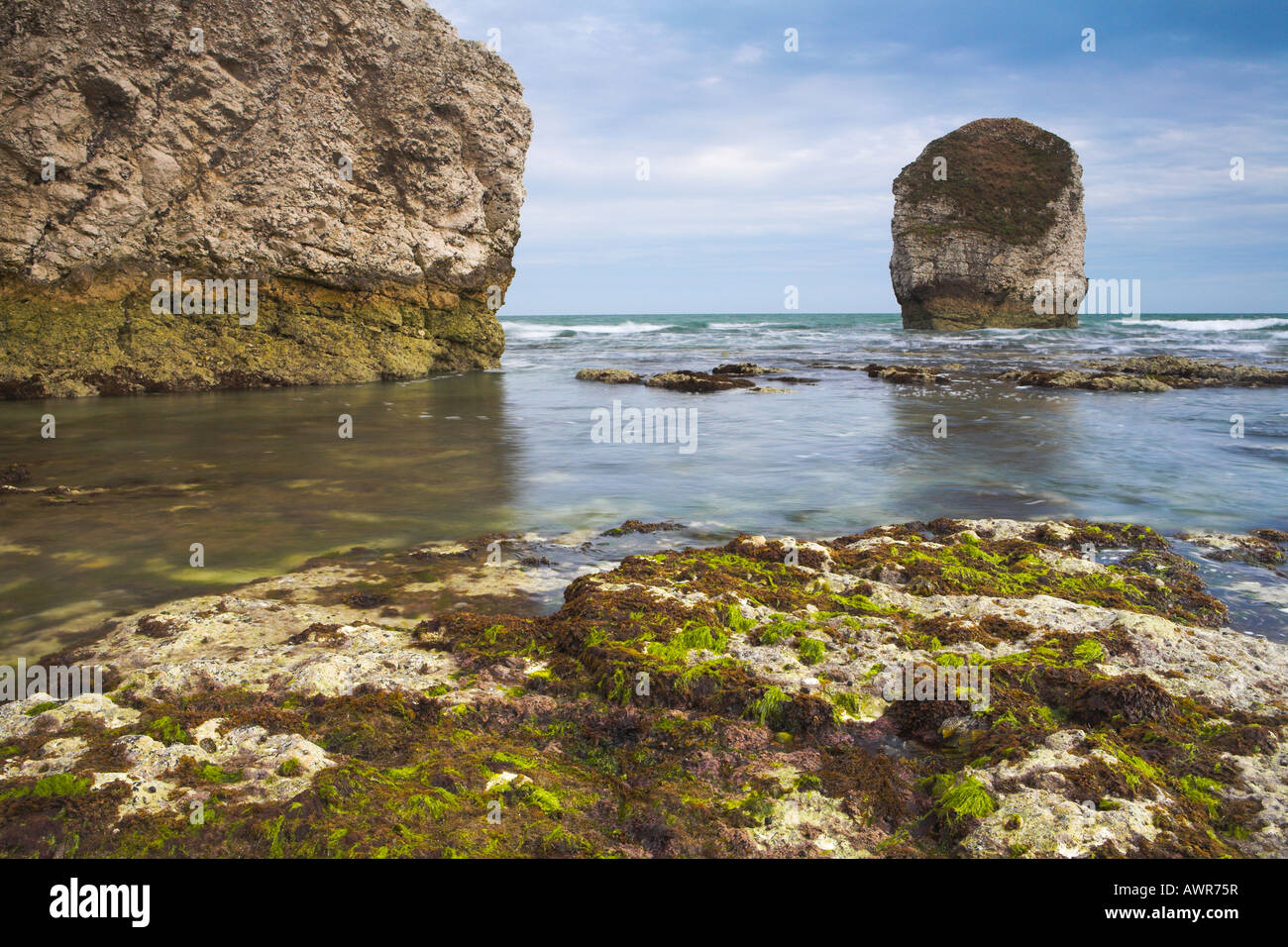 Stack rock chalk cliffs hi-res stock photography and images - Alamy