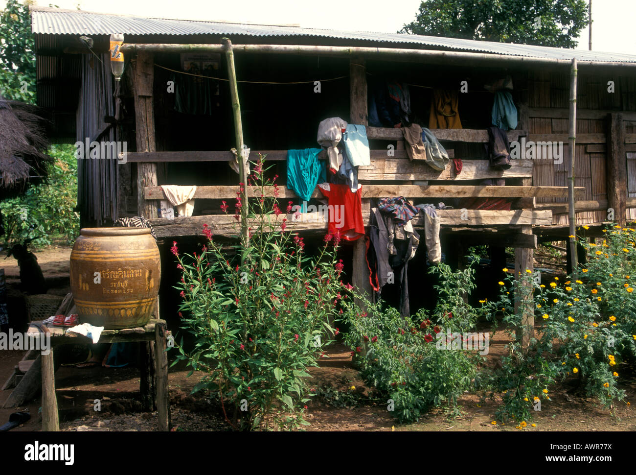 bamboo home on stilts, bamboo house on stilts, Lisu village, hill tribe ...