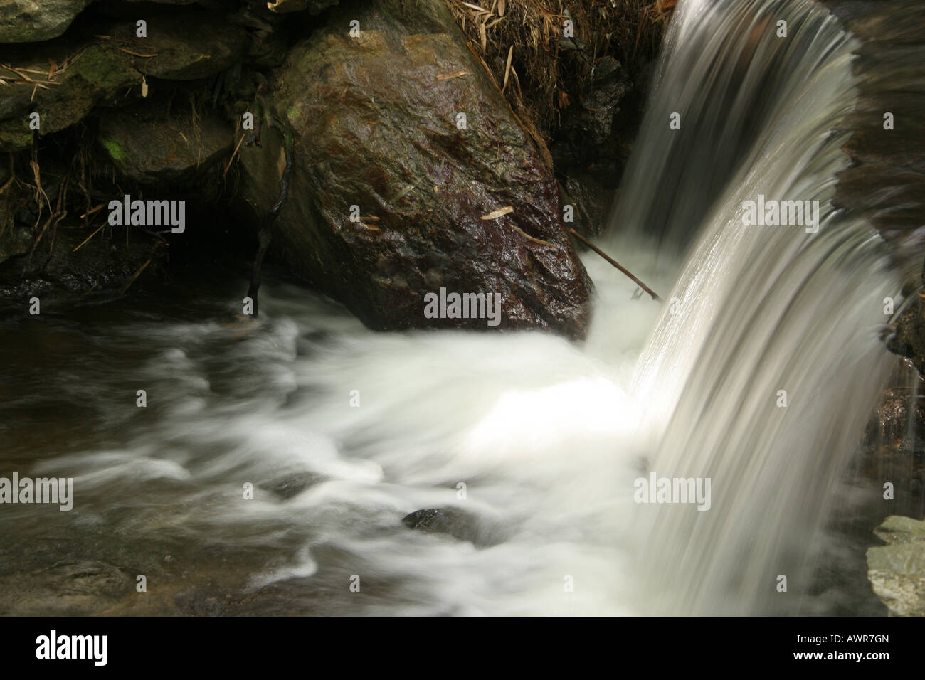 Stream, Parque Los Chorros, Caracas, Venezuela, Cascada Stock Photo - Alamy
