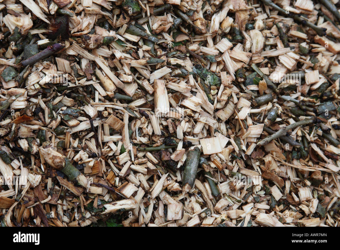 WOOD CHIPS COMMERCIALLY PRODUCED FROM WHOLE BRANCHES HAVE A VARIETY OF ...