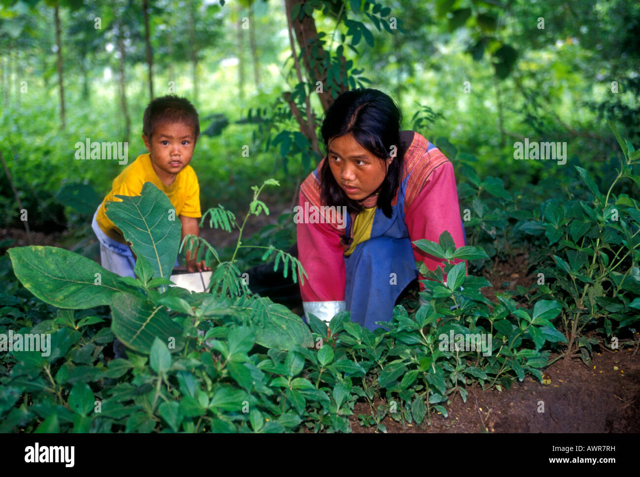 Lisu mother and son, foraging for food, looking for food, ethnic ...