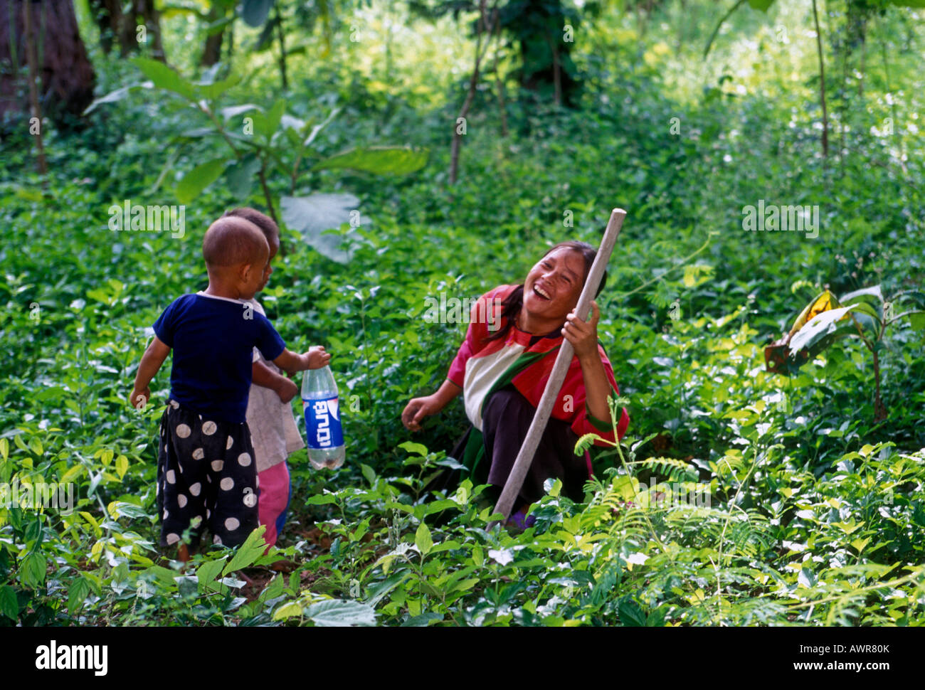Lisu mother and children, foraging for food, looking for food, ethnic ...