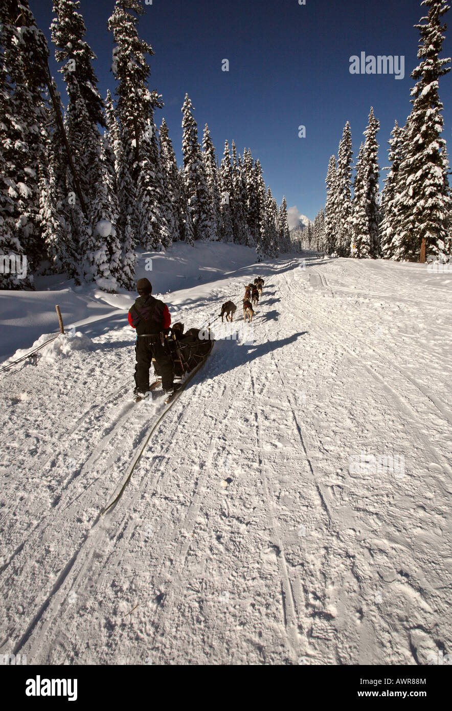 Canada dog sled not inuit hi-res stock photography and images - Alamy