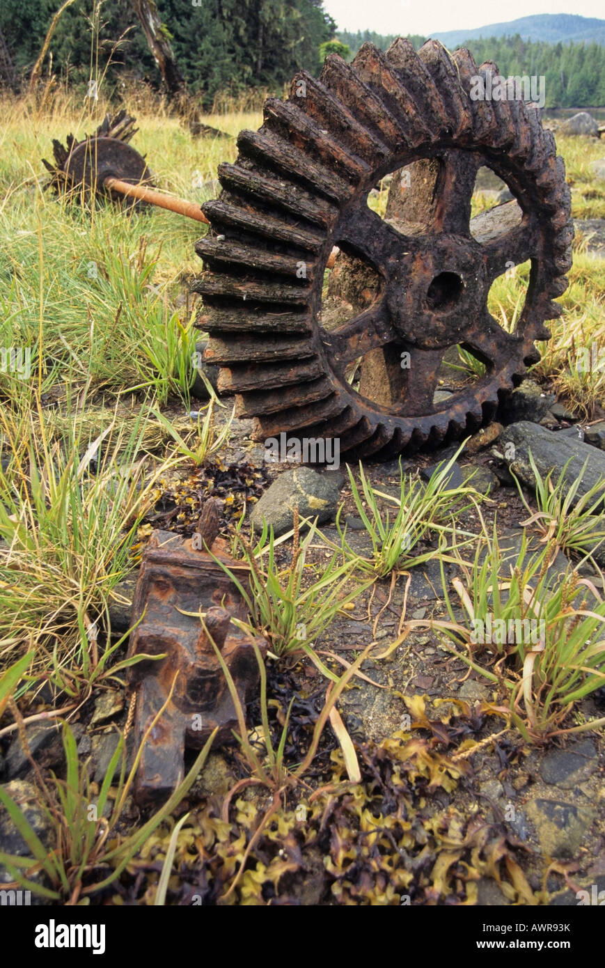 Old logging equipment on coastal estuary Work Channel BC Stock Photo ...
