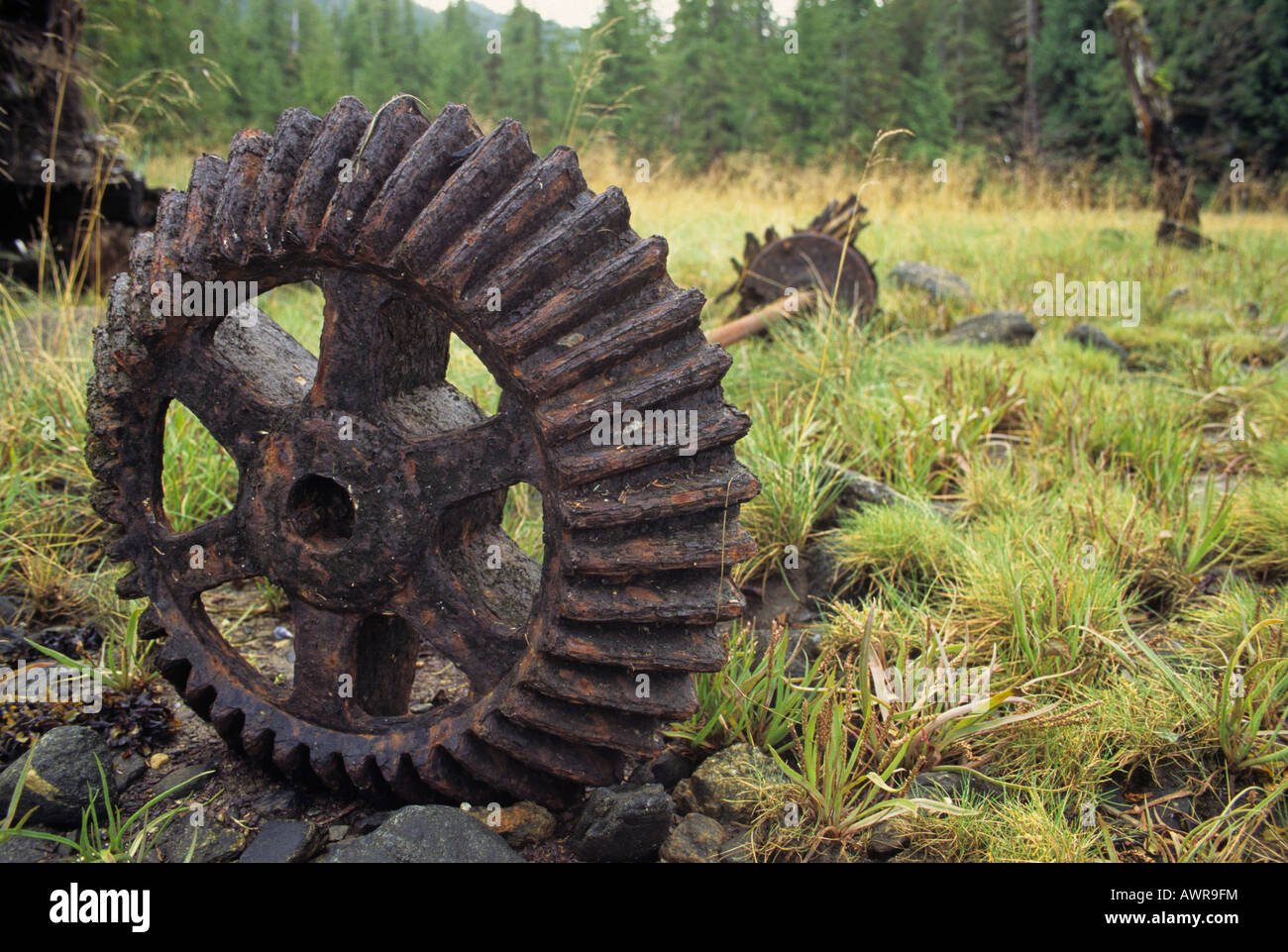 Old logging equipment on coastal estuary Work Channel BC Stock Photo ...