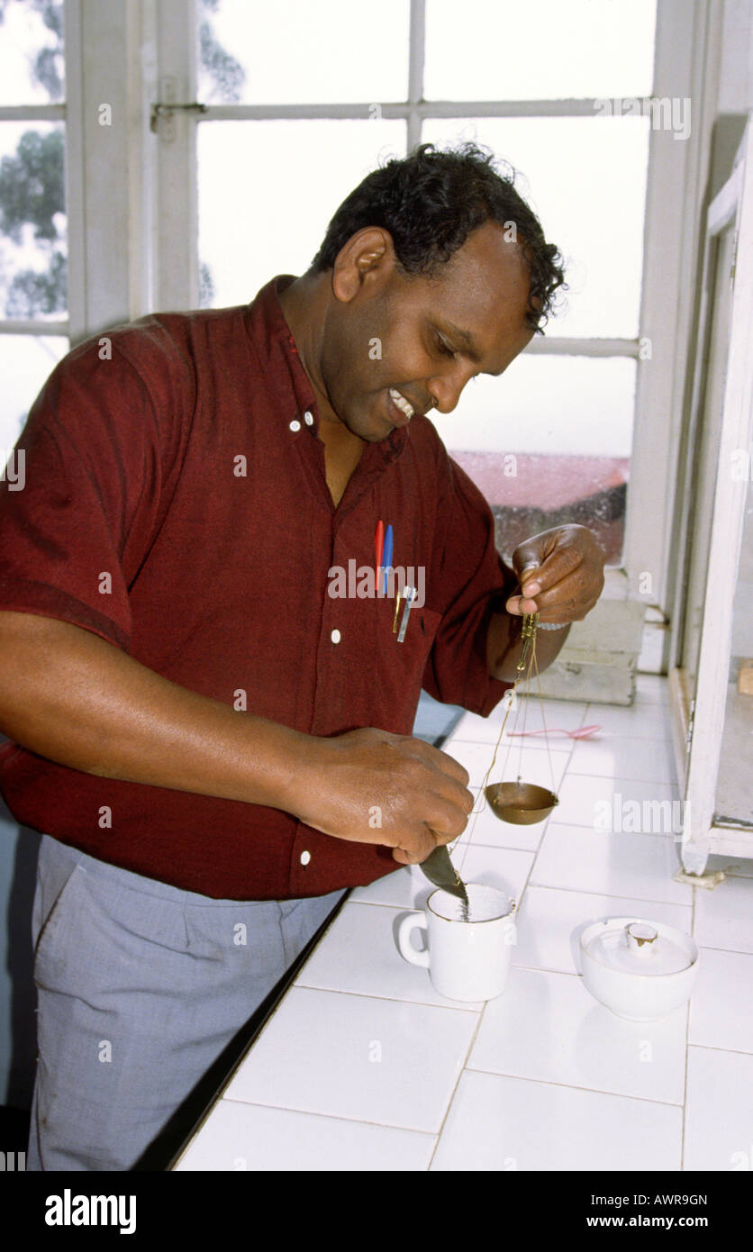 Sri Lanka Pitaratmalie Tea Factory testing tea batches Stock Photo - Alamy