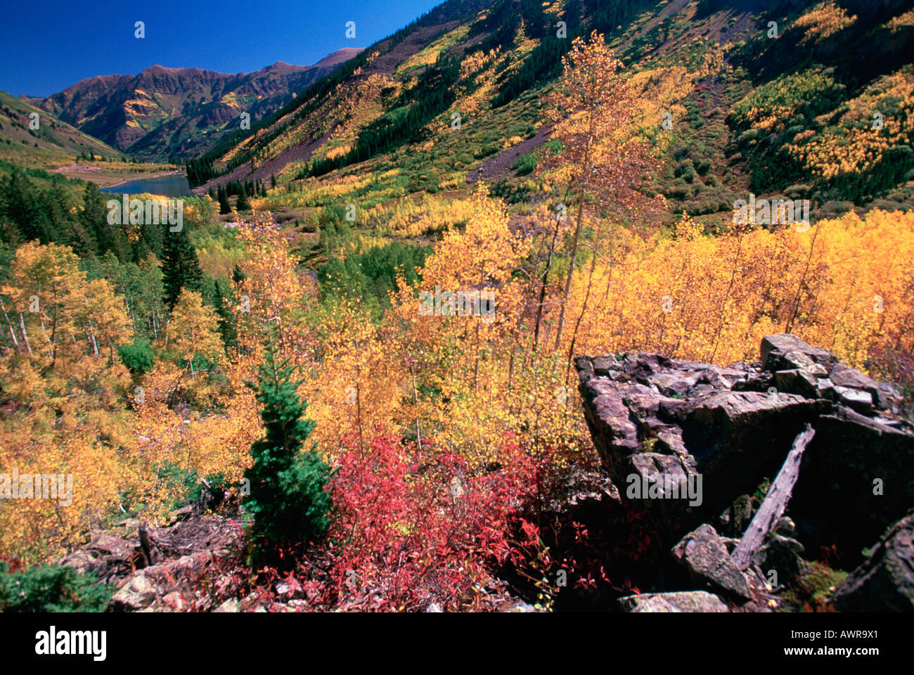 Fall colors in the maroon bells near Aspen Colorado United States Stock ...