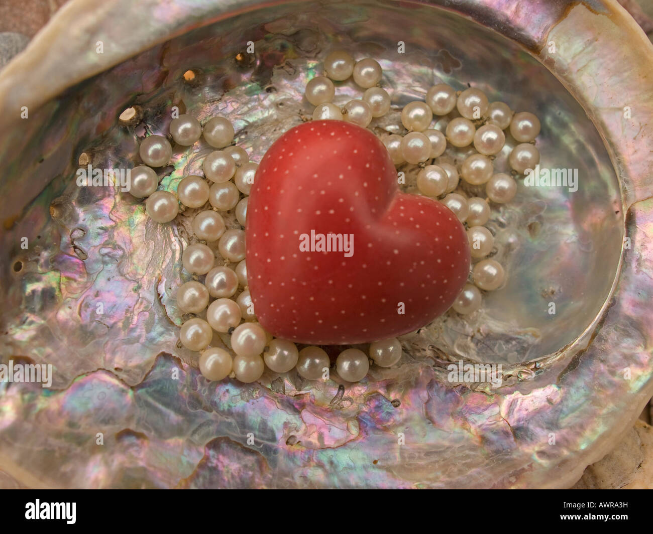 gleaming seashell with a chain of pearls and red heart Stock Photo - Alamy
