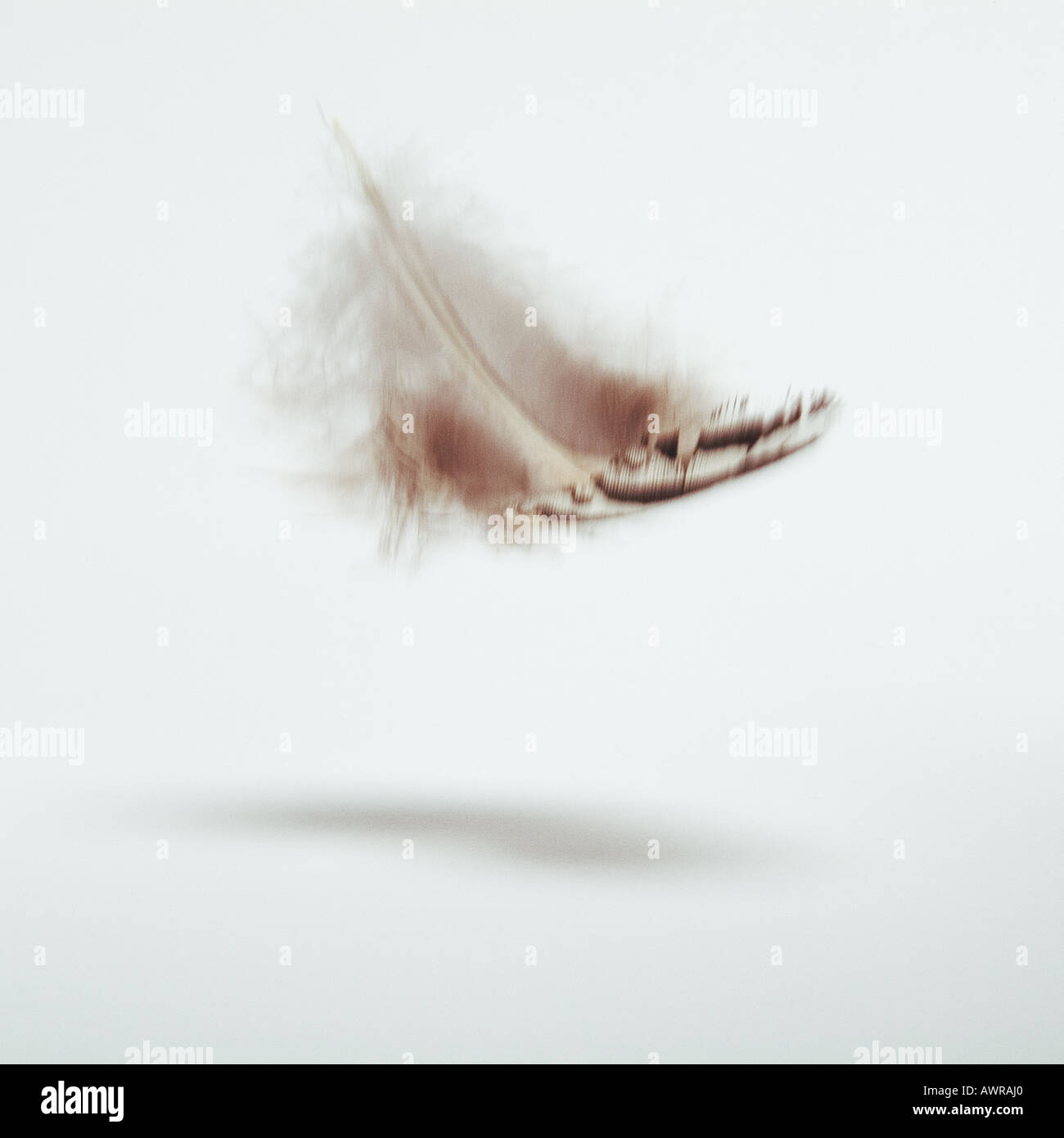 White feather movement hi-res stock photography and images - Alamy