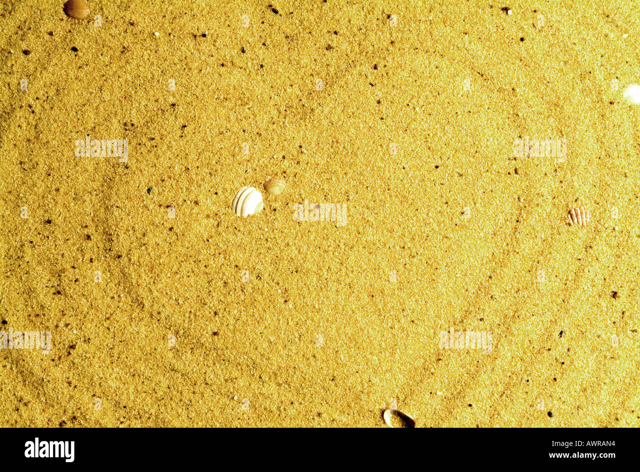 sand heart rings Stock Photo - Alamy