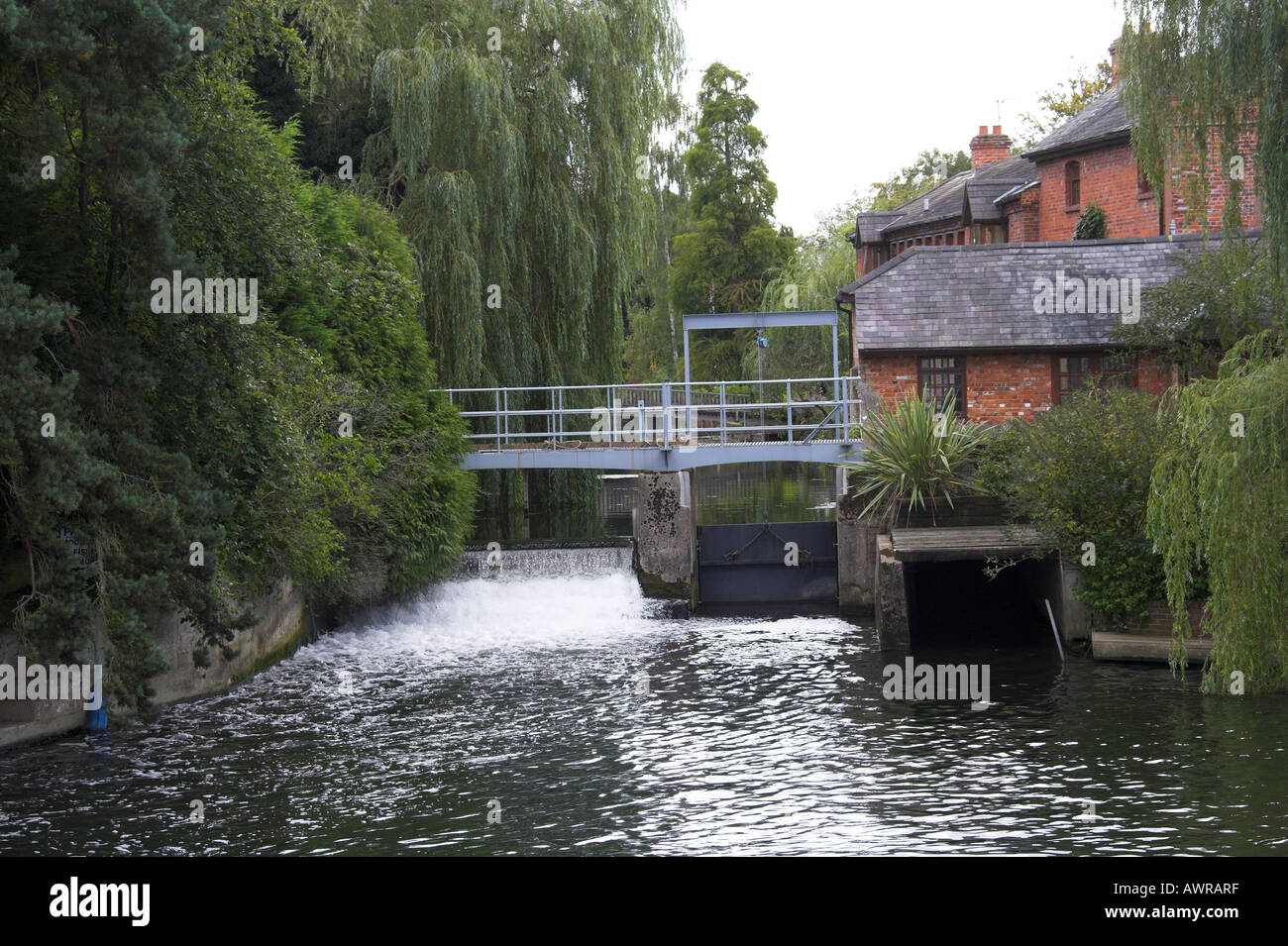 River thames marsh hi-res stock photography and images - Alamy