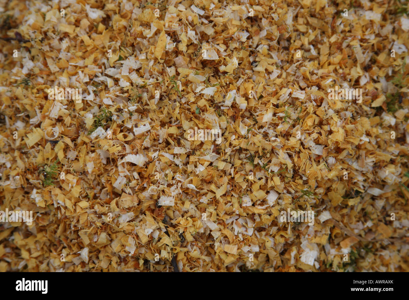 MATERIALS FOR COMPOSTING SAWDUST AND PLANINGS NEED TO BE PARTIALLY ...