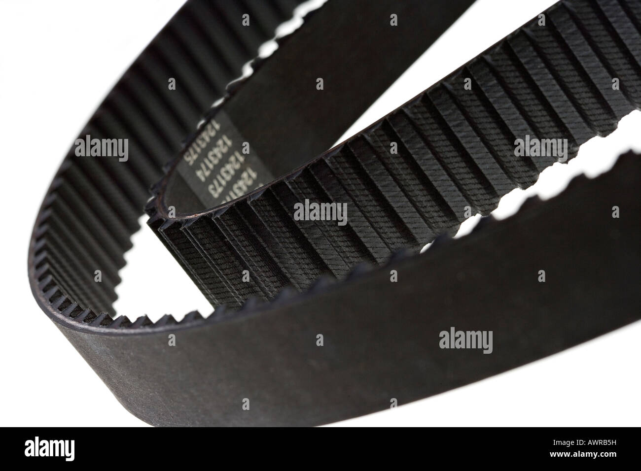 An abstract studio image of a car Cam-Belt on a white background Stock ...