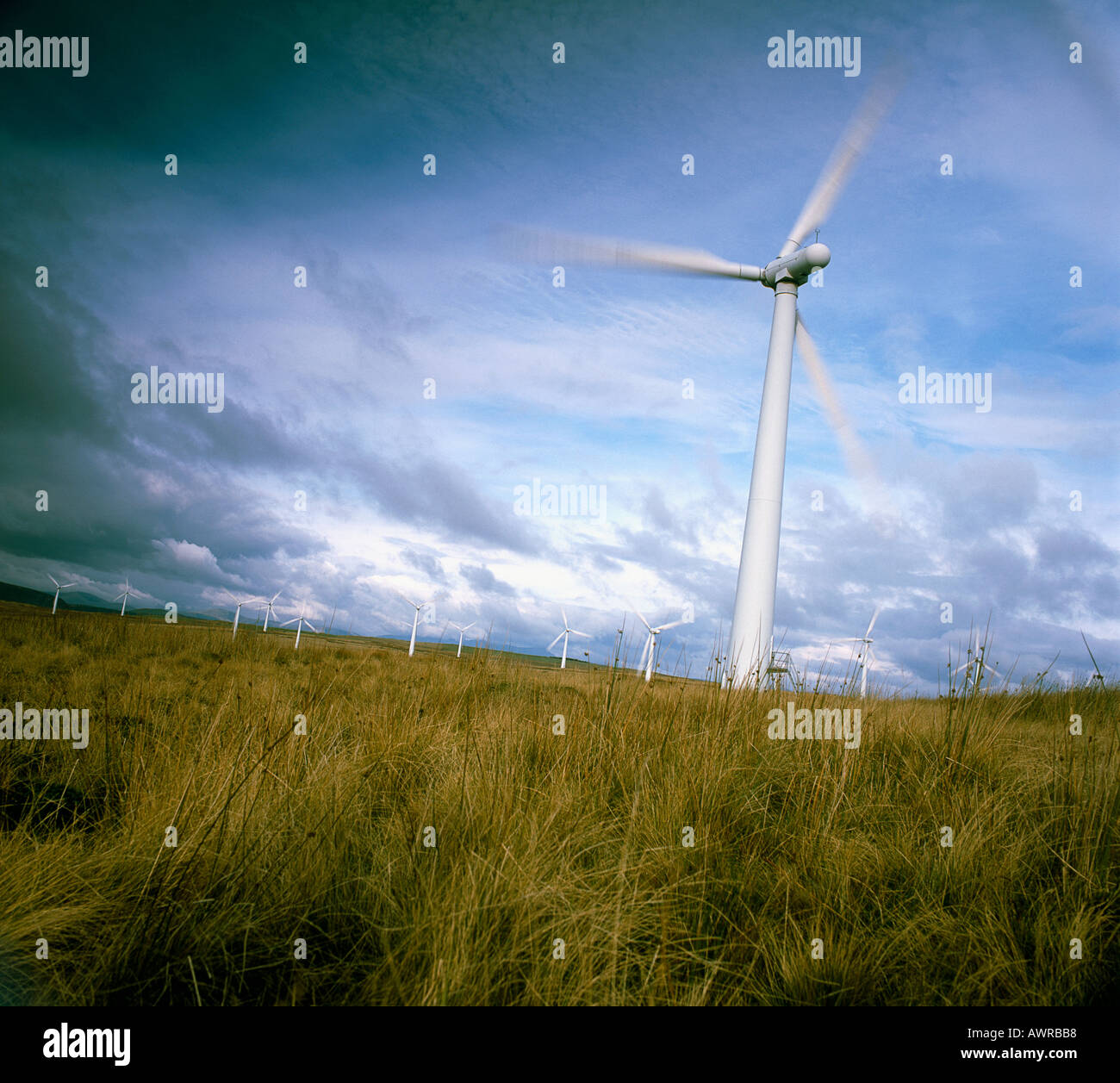 WIND FARM MID WALES UK Stock Photo - Alamy