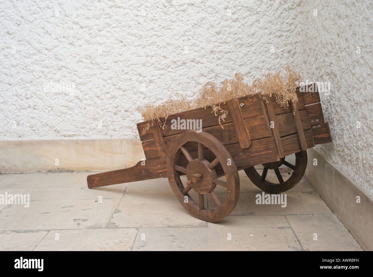 Plants in a chariot along a white wall Stock Photo - Alamy