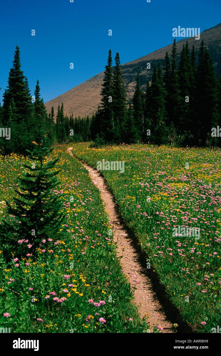 750 meters hi-res stock photography and images - Alamy