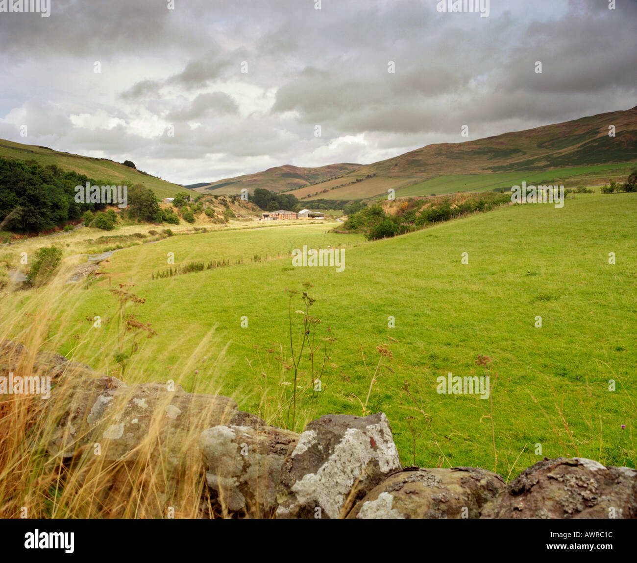 Cheviot Hills Scottish Borders England UK Stock Photo - Alamy