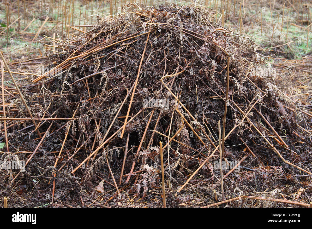 Compostable materials hi-res stock photography and images - Alamy
