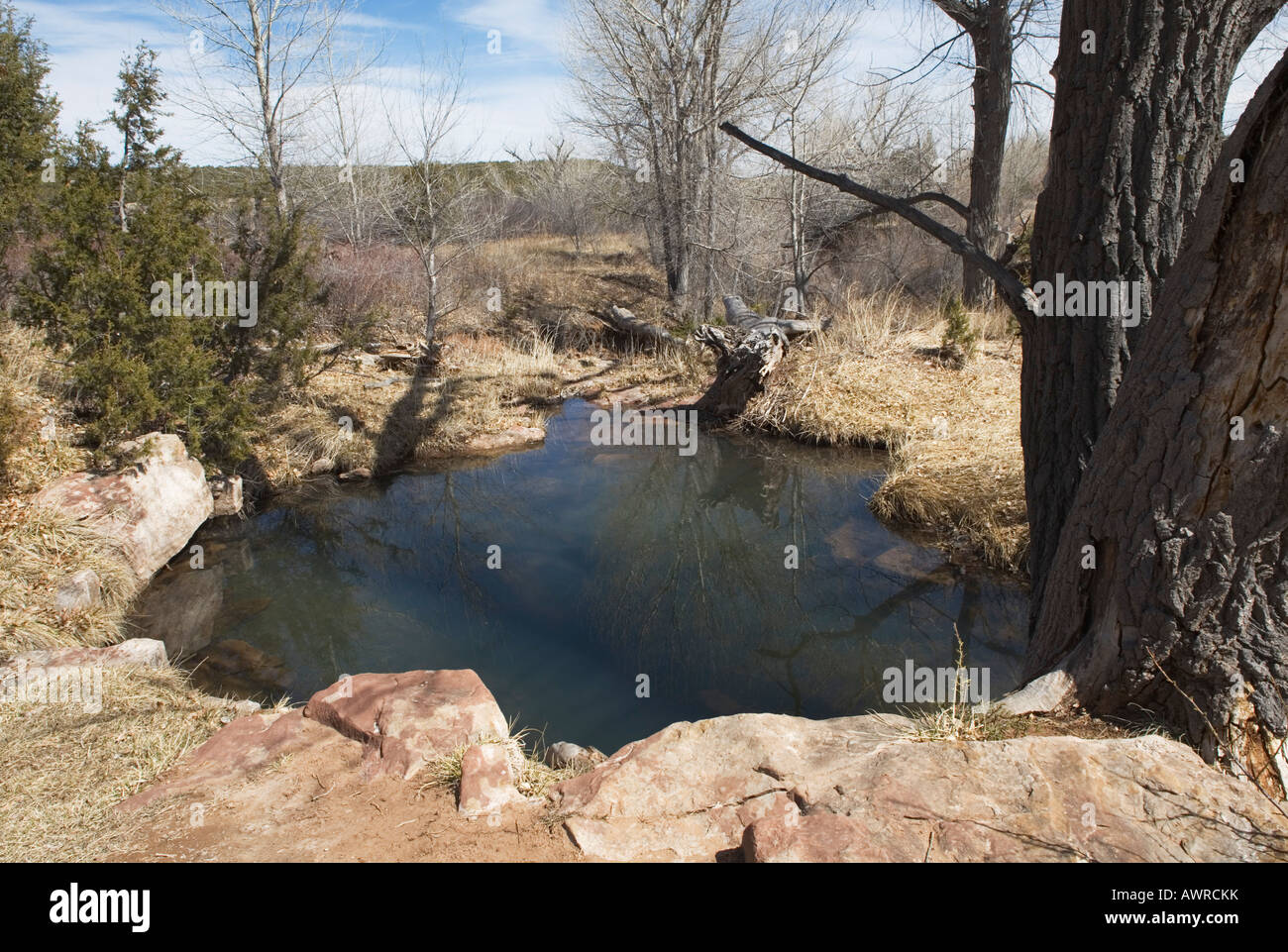 Pool at Quarai ruins Stock Photo - Alamy