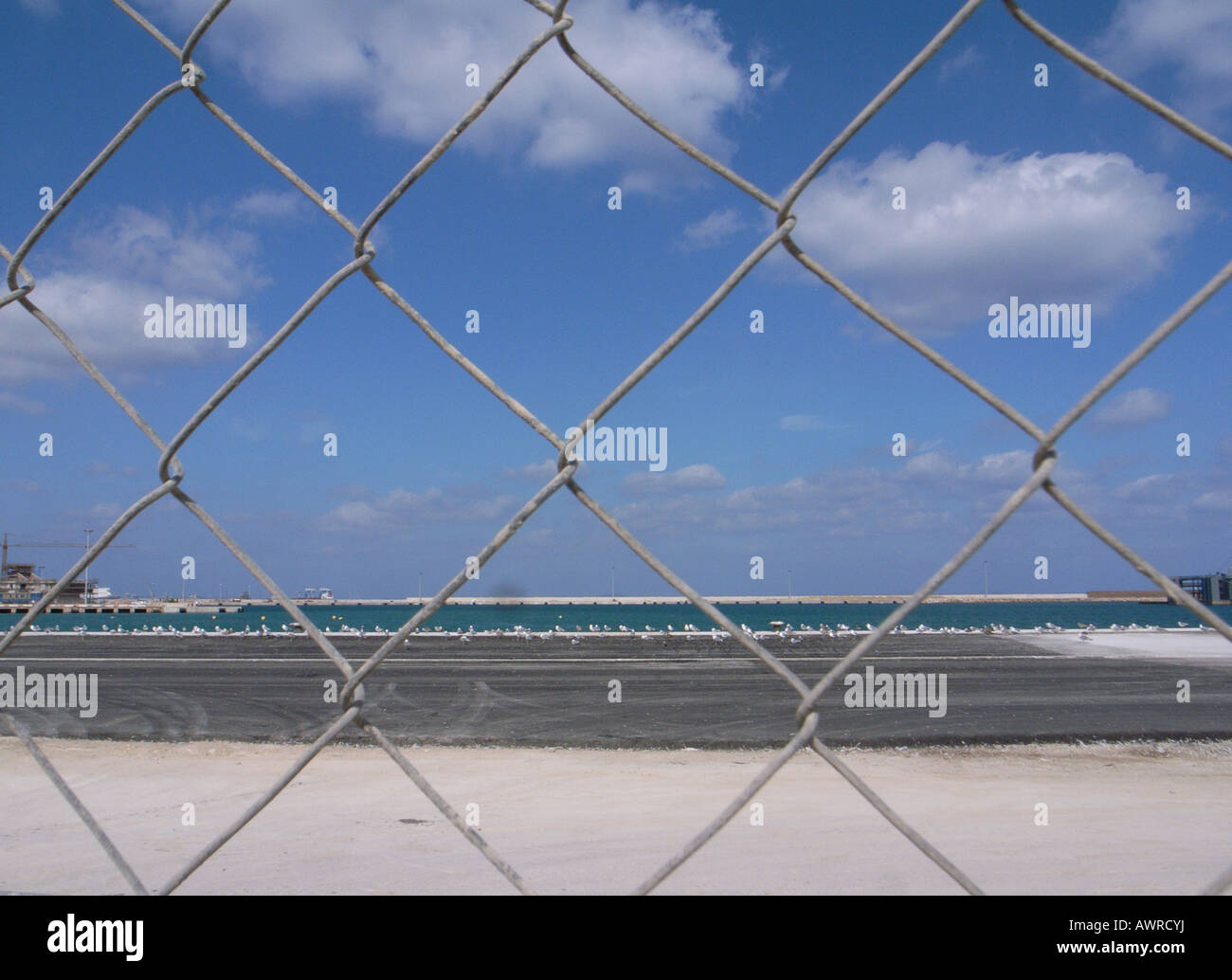 gate with blue sky and a line of bird Stock Photo - Alamy