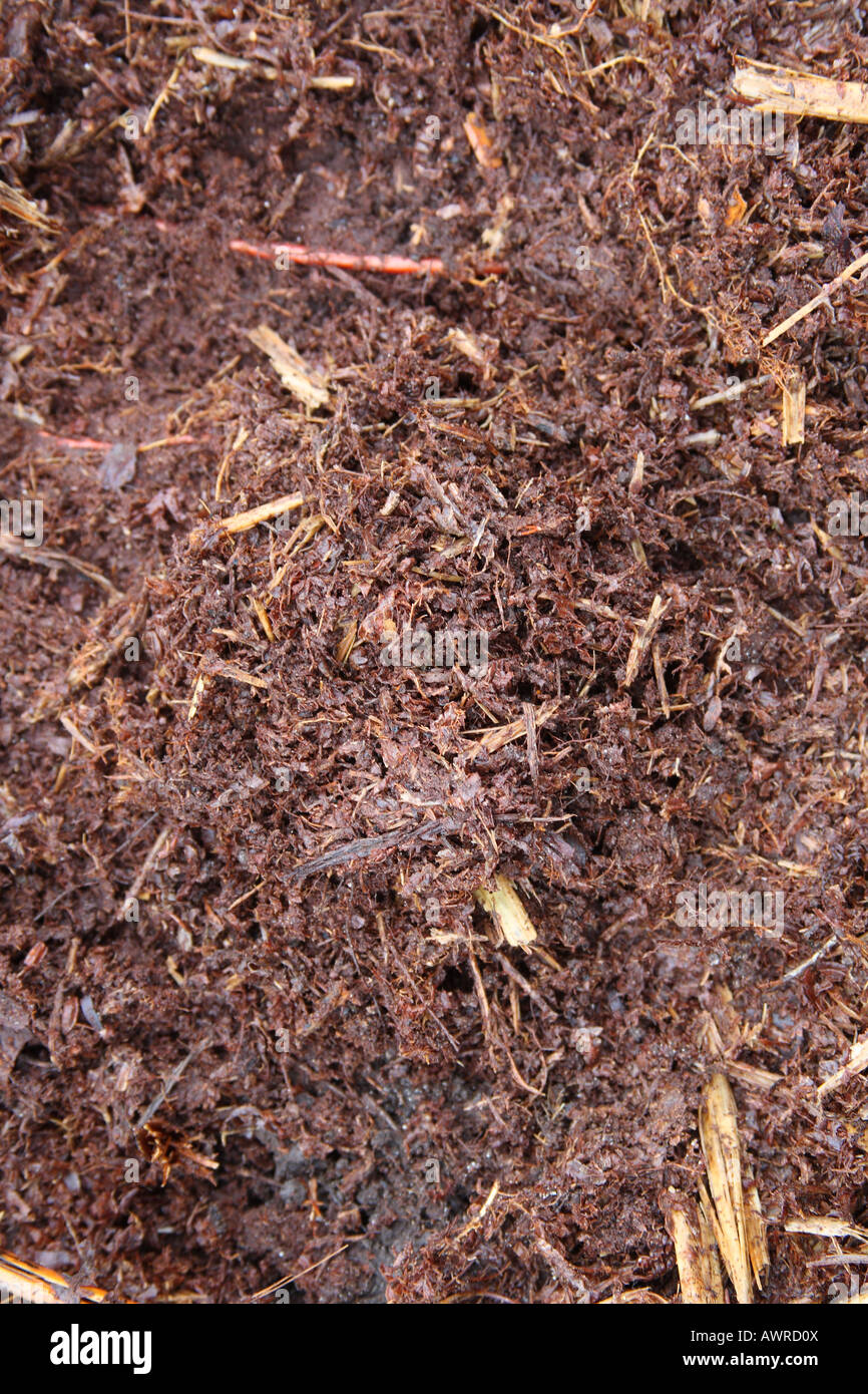 Bracken compost hi-res stock photography and images - Alamy