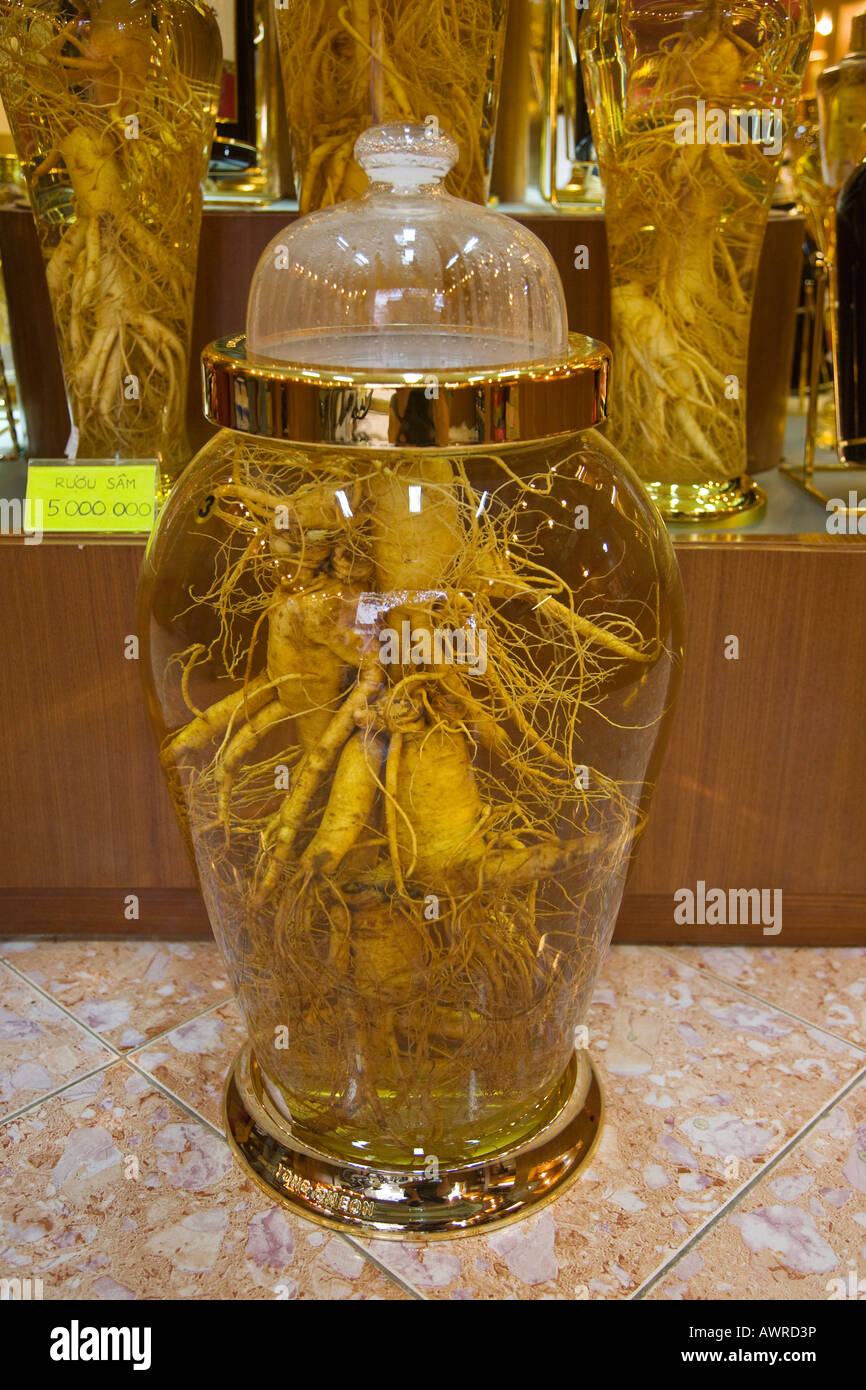 Large glass jars of GINSENG sit on display inside a boutique HANOI ...
