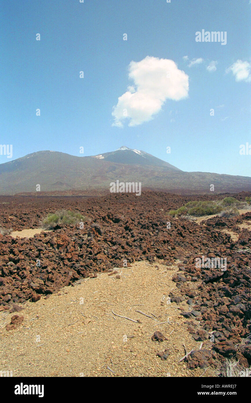 A View of the Volcanic Mountain Mt Teide, Tenerife National Park ...