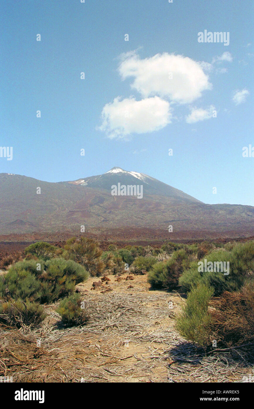 A View of the Volcanic Mountain, Mt Teide. Tenerife National Park ...