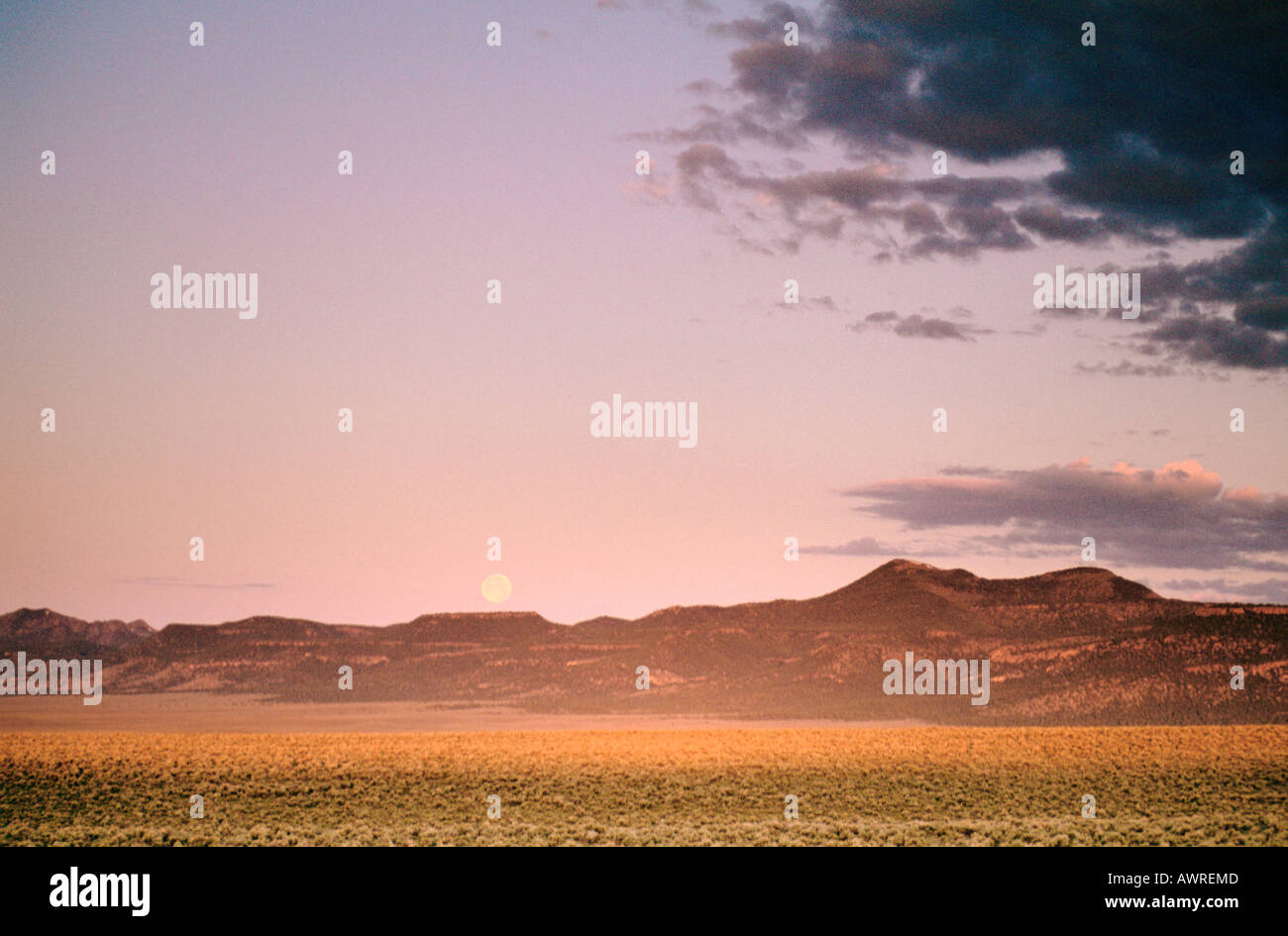 Moonset over the Clan Alpine Mountains highest peak is Mt Augusta 9 966 ...