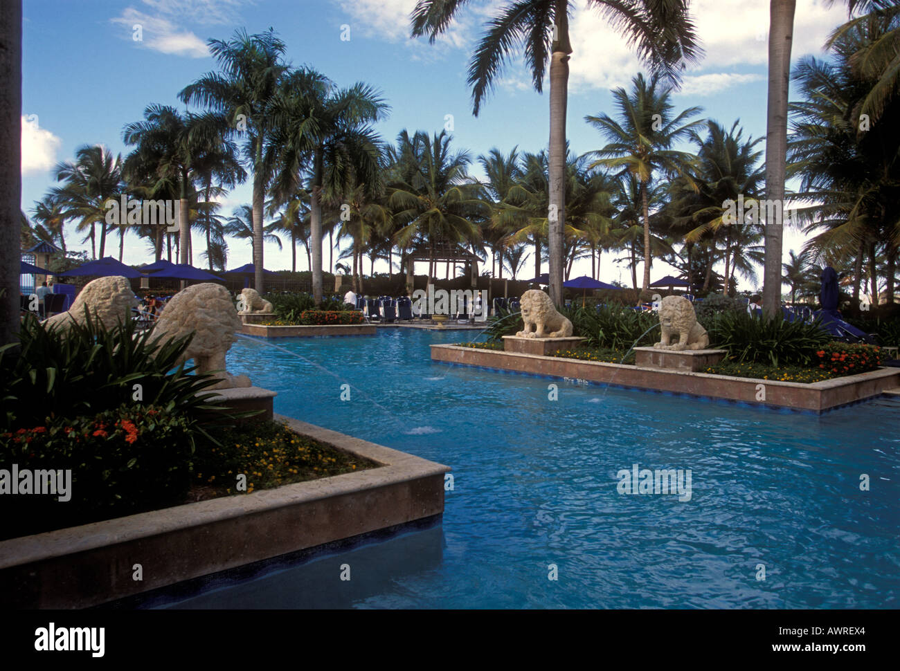 freshwater swimming pool, swimming pool, Ritz-Carlton San Juan Hotel ...